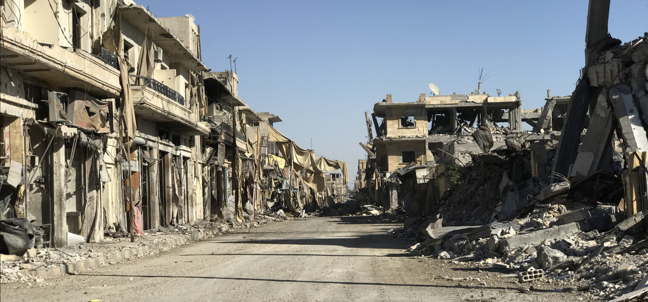 The Economic Cost of ISIS Rule and the Anti-ISIS Conflict in Northeast ...